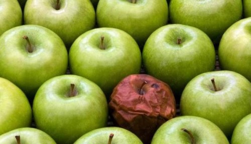 How “The Star Syndrome” Corrupts The Workplace And Institutions ...