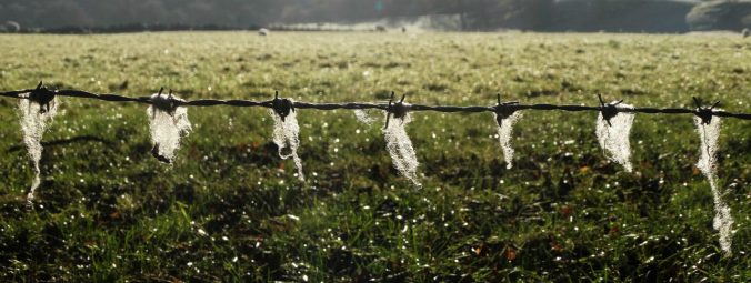 Afternoon Ethics Woolgathering, 7/20/2022: Conspiracies And Condign ...